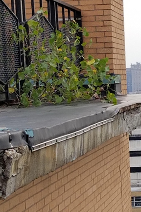 Executive Towers highrise deck and balcony repairs - Great Lakes ...
